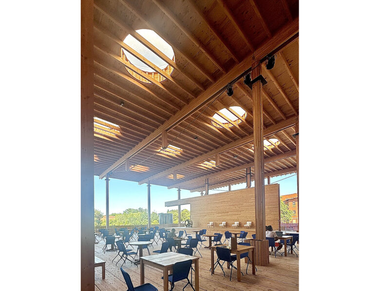 Winstanley Sycamore & Oak - Winstanley